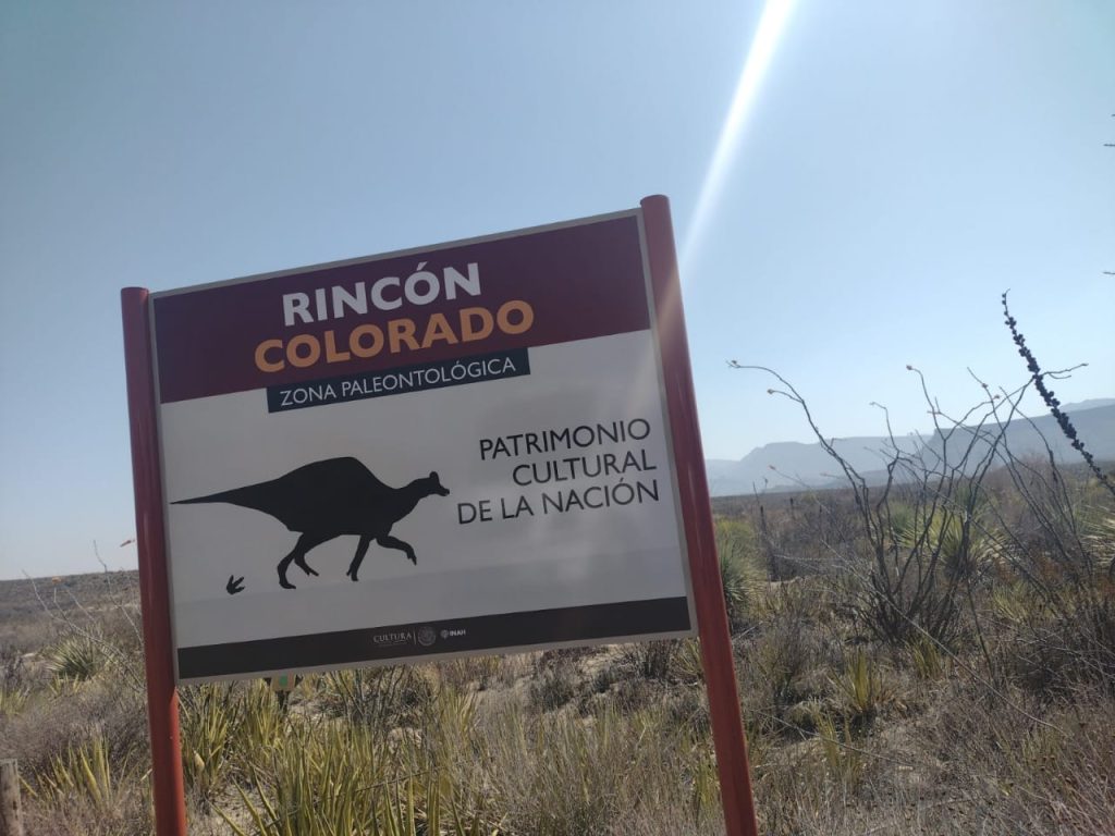 Rincón Colorado: testigo de dinosaurios y lugar de su descubrimiento