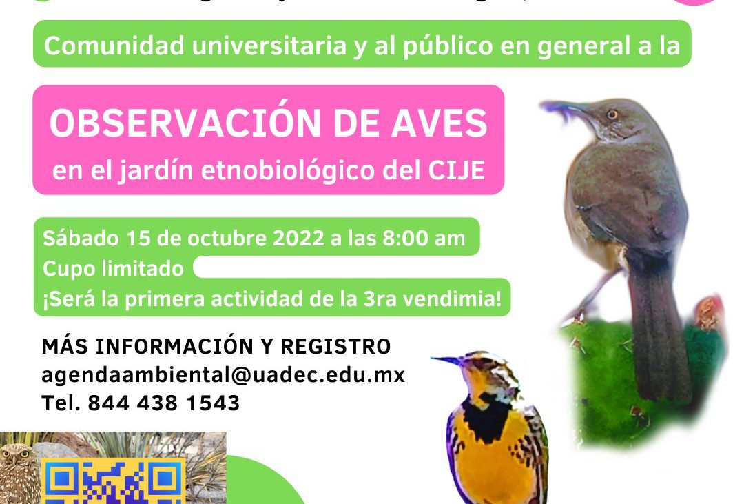 Conoce la biodiversidad a través de la observación de aves en el CIJE ...