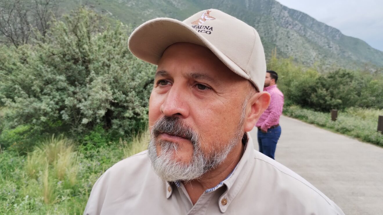 Alista PROFAUNA operativos en Sierra de Zapalinamé para evitar ...