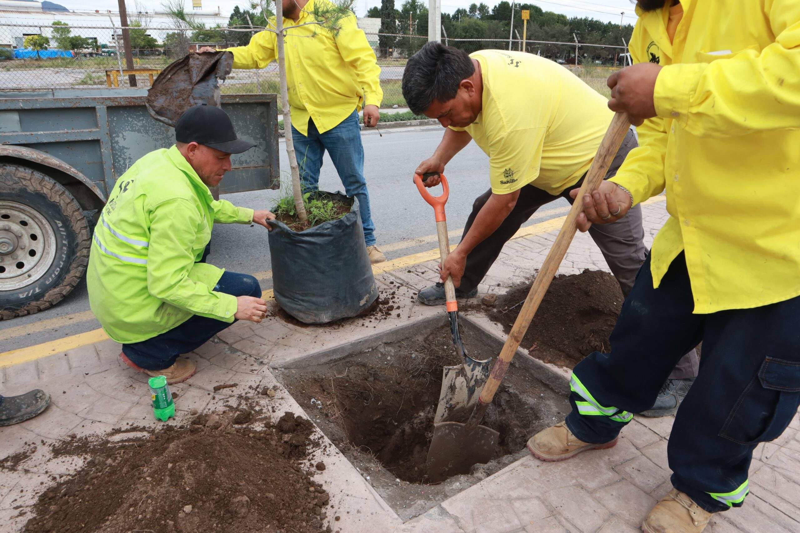 Reforesta administración de Javier Díaz 7 mil 823 árboles y plantas en ...