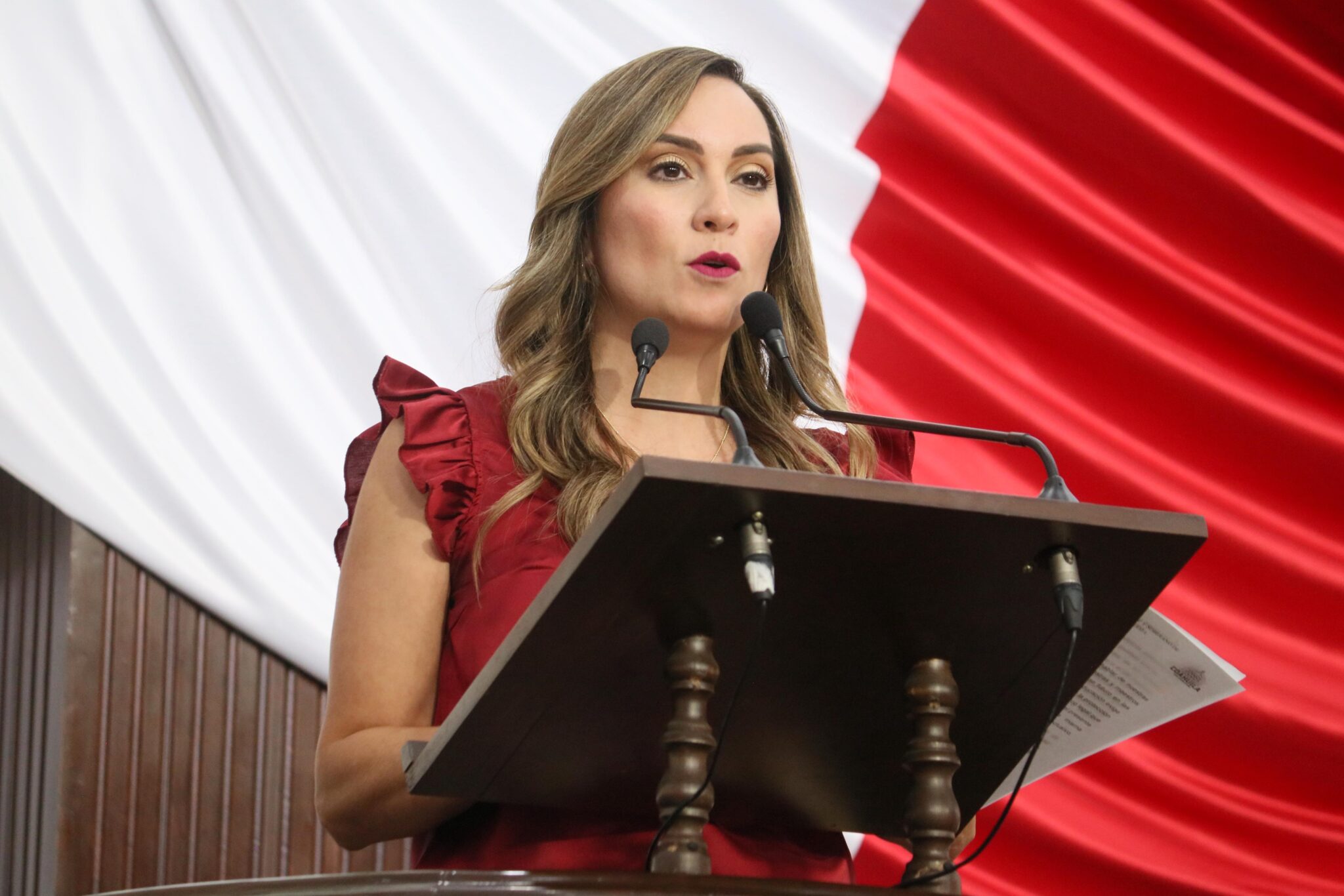 Propone diputada Magaly Hernández actualizar el marco jurídico ...