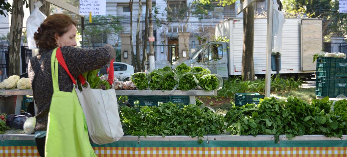 Once chefs de América Latina se unen a la ONU para combatir el ...