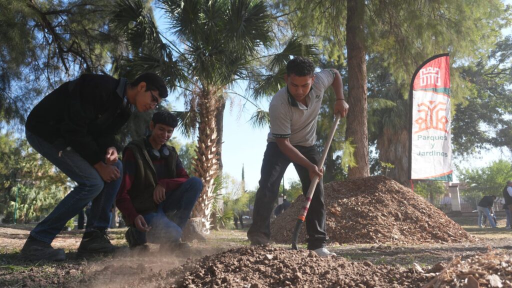 El Bosque Venustiano Carranza crece y se fortalece; reforestan 100 ...