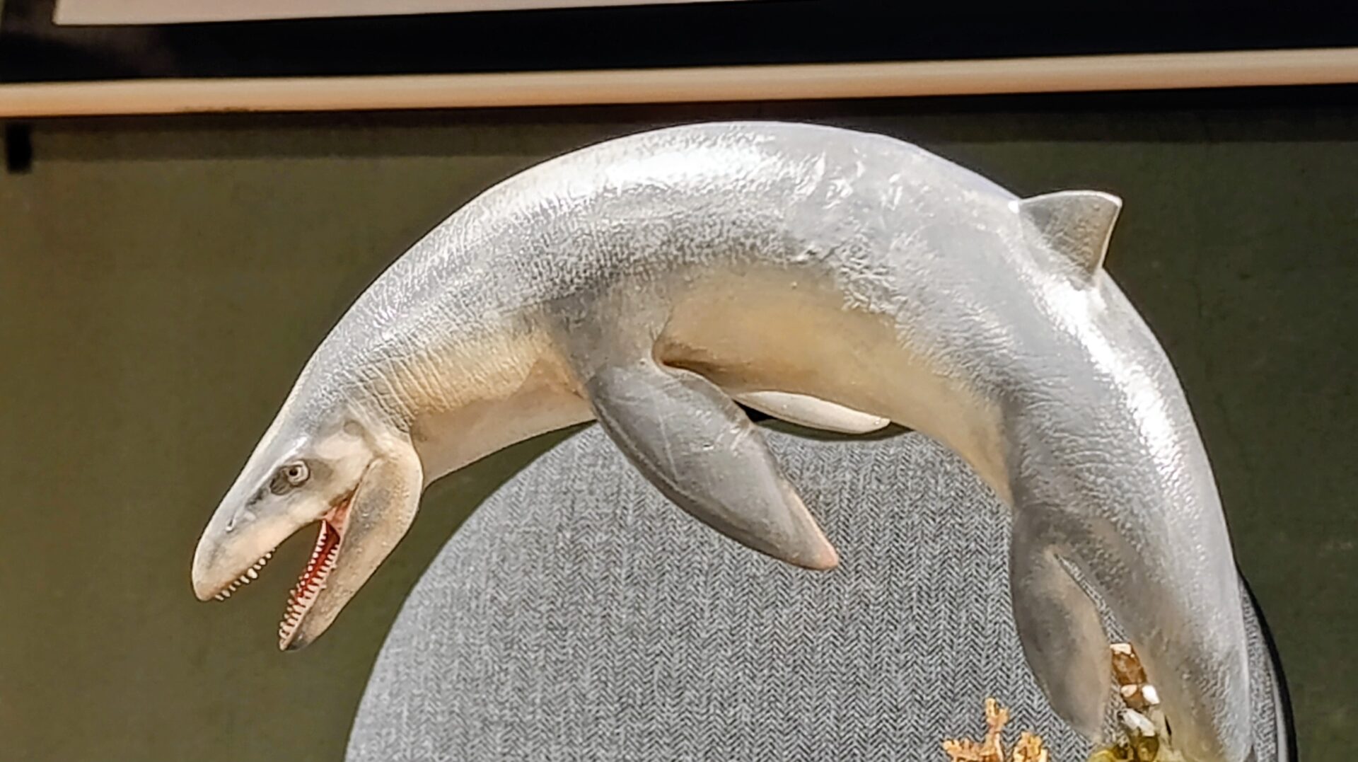 Confirma investigador de Museo del Desierto nueva especie de mosasaurio ...