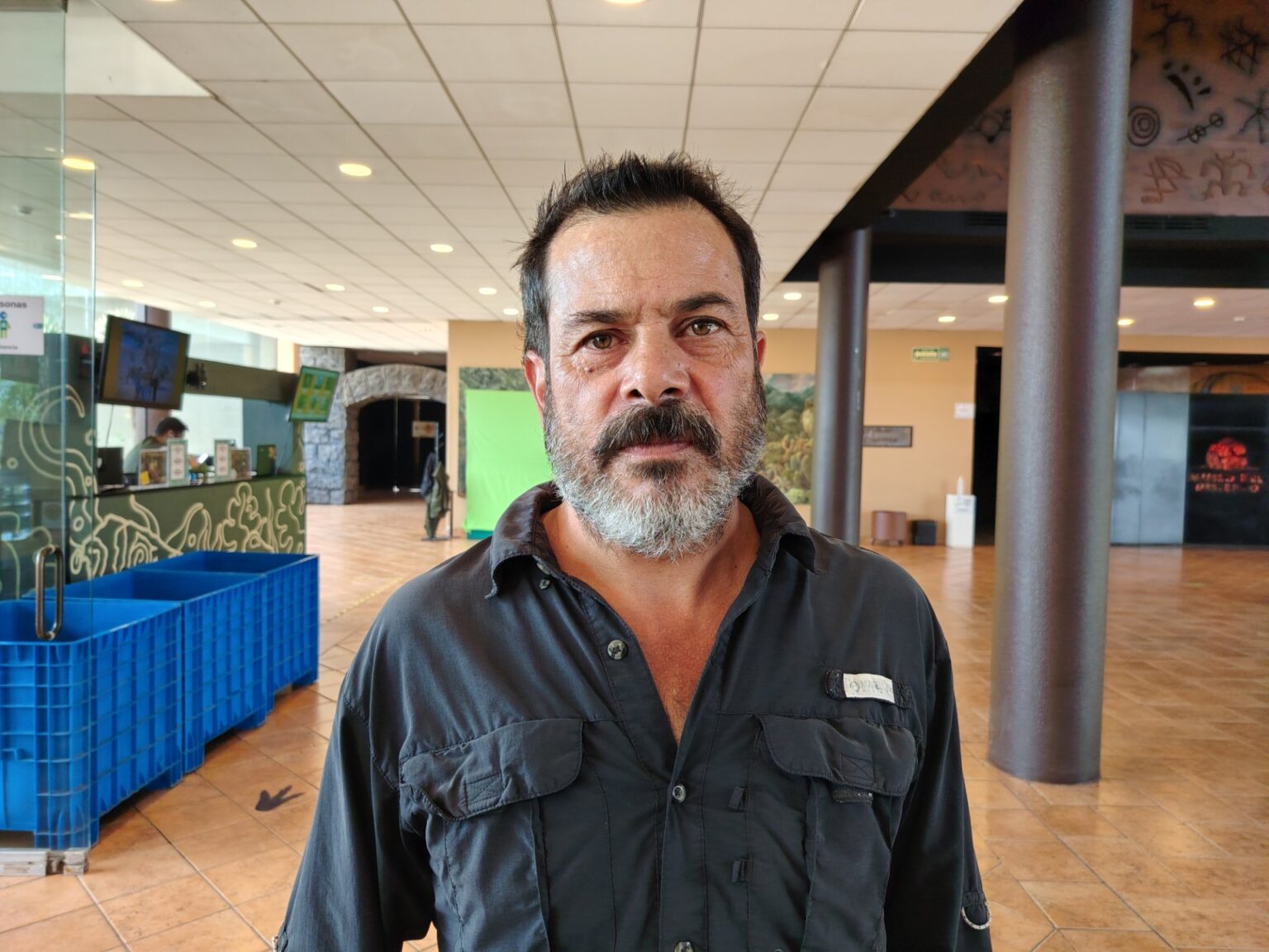 Oso rescatado al poniente de Saltillo se encuentra bien y será liberado ...