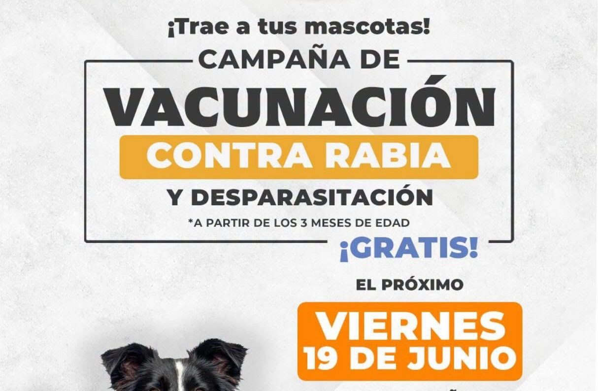 Llaman a propietarios responsables en Ramos Arizpe a participar en ...